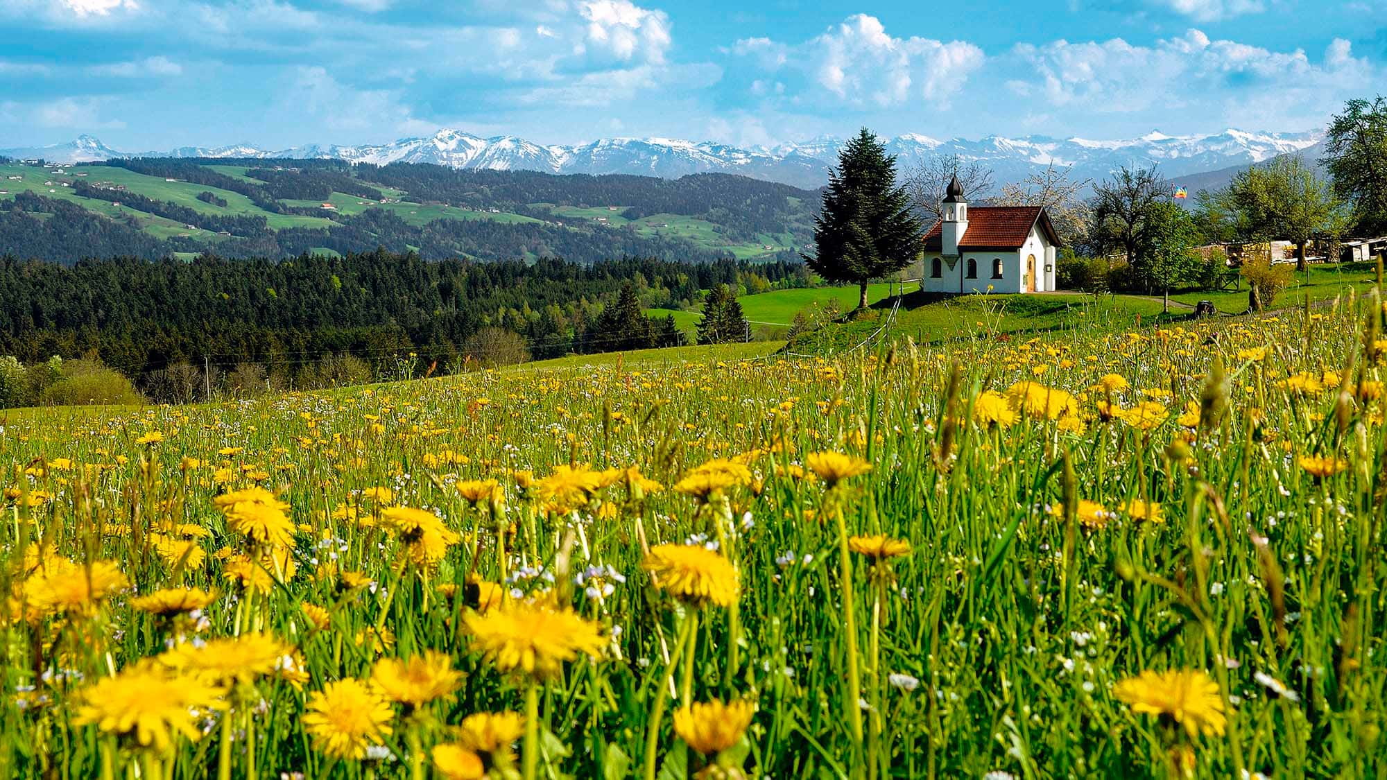 12 Top Stellplätze im Allgäu: Schön campen in Süddeutschlands ...
